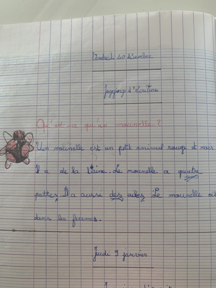 Une année de jogging d’écriture – Production d’écrit quotidienne – Les ...